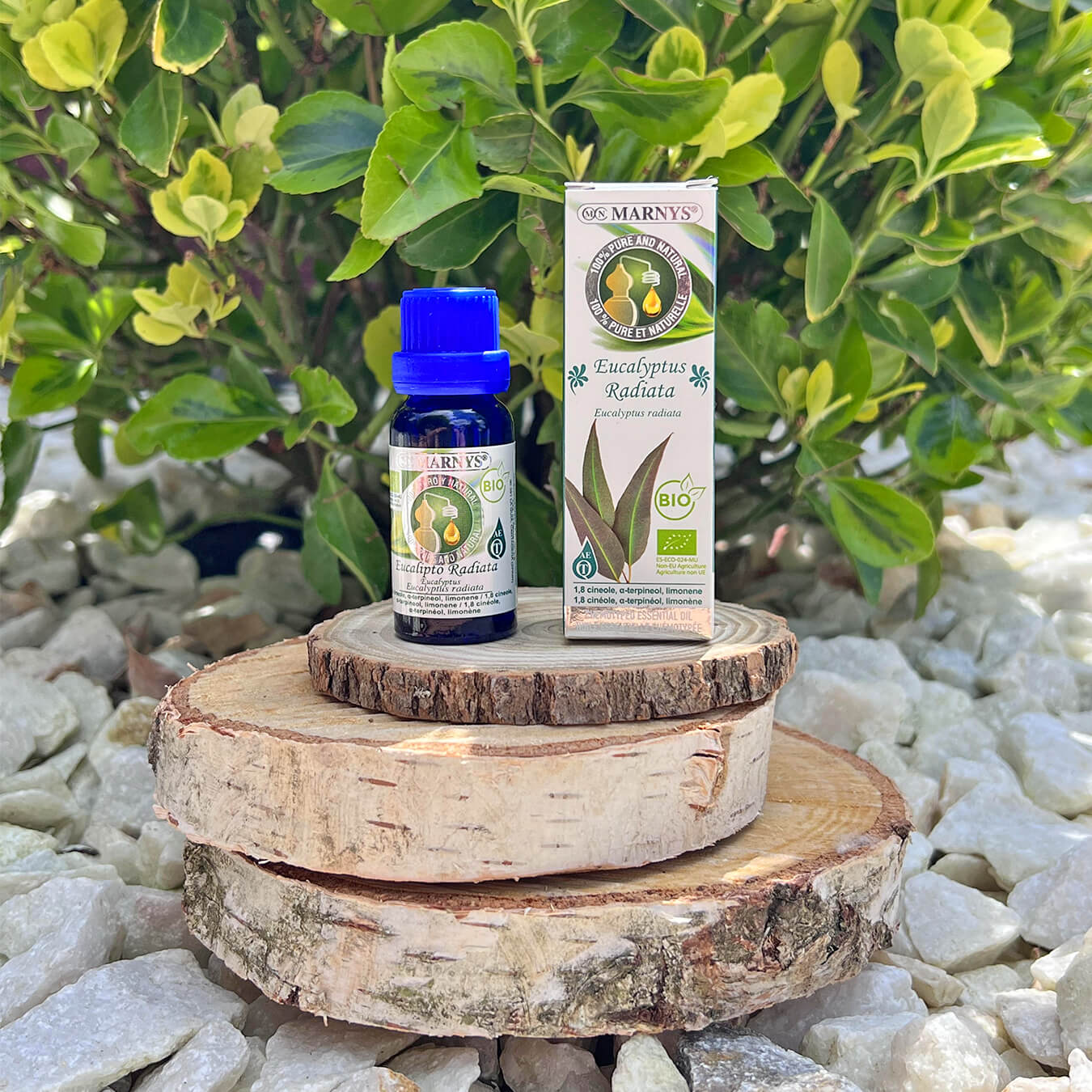 Eucalipt BIO 10ml, Ulei Esential MARNYS, 100% Natural si Pur ...